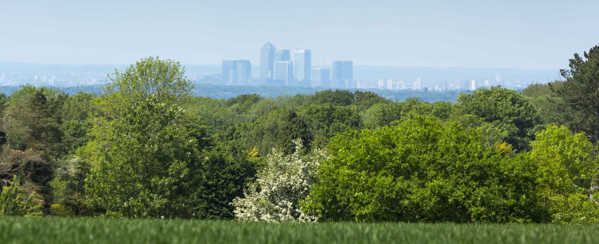 Local Landscapes - Kent LiDAR Portal